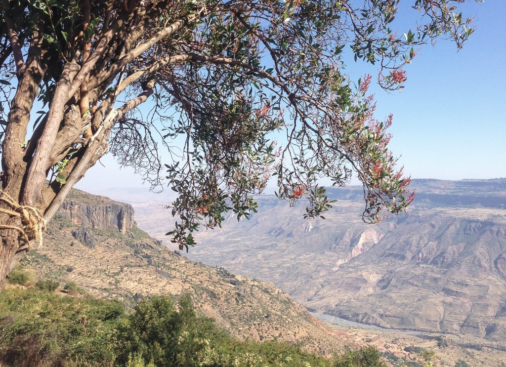 Natural treasures: A day-trip through the Ethiopian highlands - Bahar Zaf